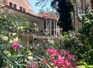 Prodaja Biznis - Golubac