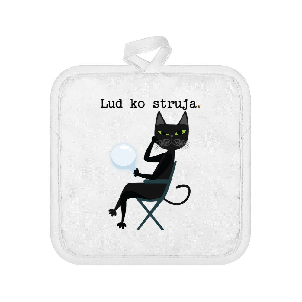 Lud ko struja