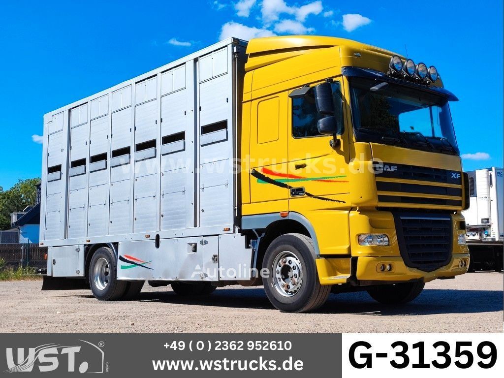 DAF XF 410 SC Menke Doppelstock kamion za prevoz stoke