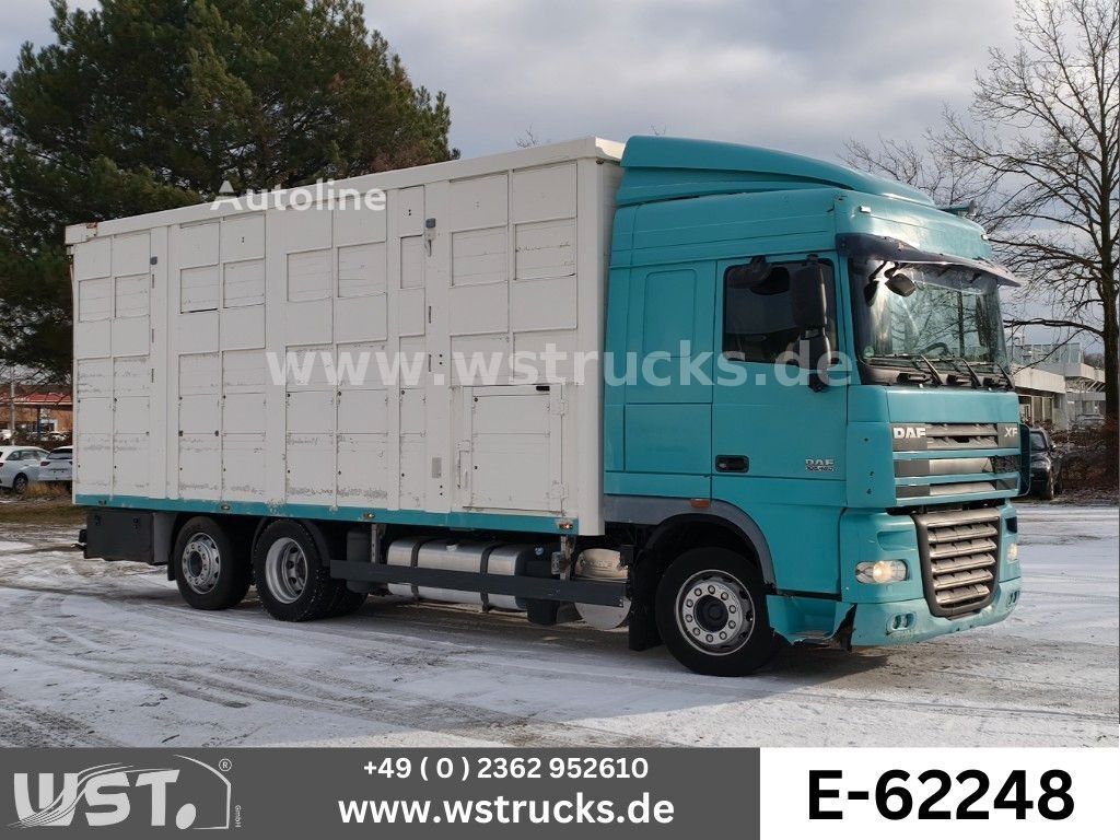 DAF XF 105/460T KABA 3 Stock Vollalu kamion za prevoz stoke