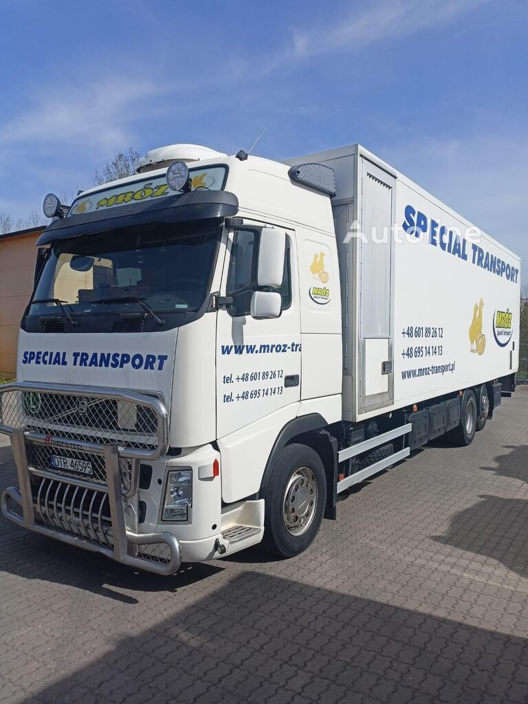 Volvo FH12 vozilo za prevoz ptica