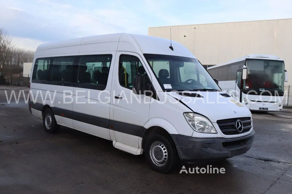 Mercedes-Benz Sprinter 311 CDI / Lift / putnički minibus