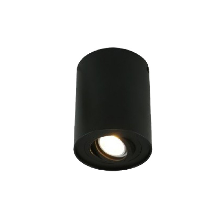 Spot lampa 1xgu10 E200829ID EK000804121