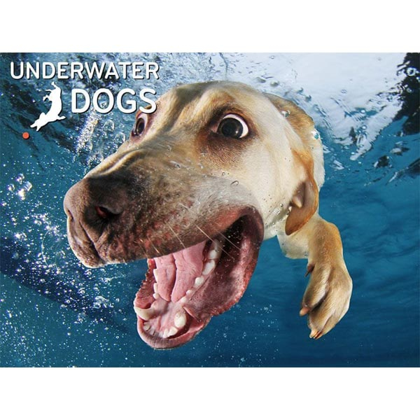 National Geographic - Underwater Dogs - 3-Pack Super 3D Puzzle Prime 3D 10210