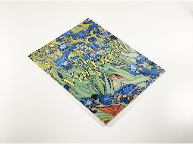 Vincent Van Gogh Art Book: Treasures of Art Series