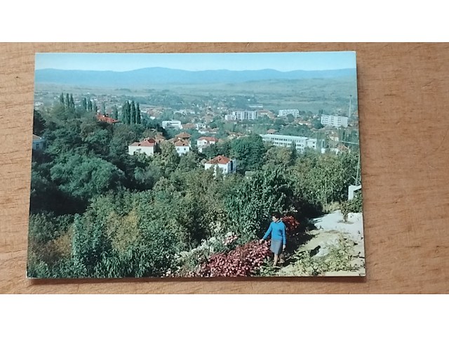 Soko Banja - Čista -