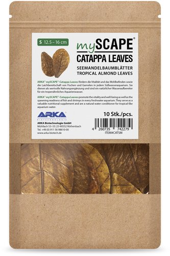 Arka Catappa Leaves
