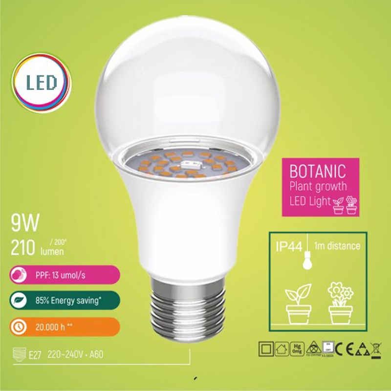 LED SIJALICA E27/9W 6500K ECO