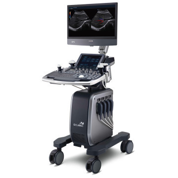 Ultrasound // Color Doppler Ultrasound // E-Cube 8 Diamond E-Cube 8 Diamond