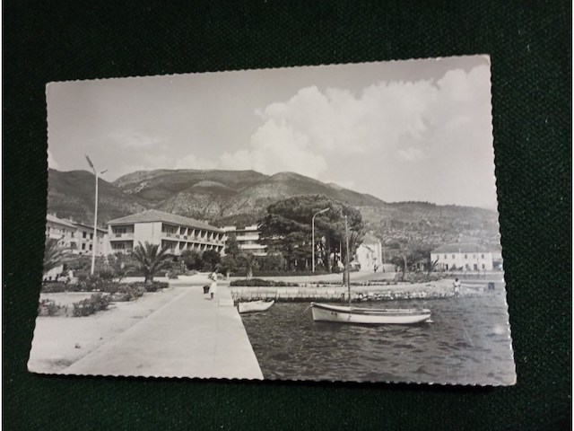 Tivat