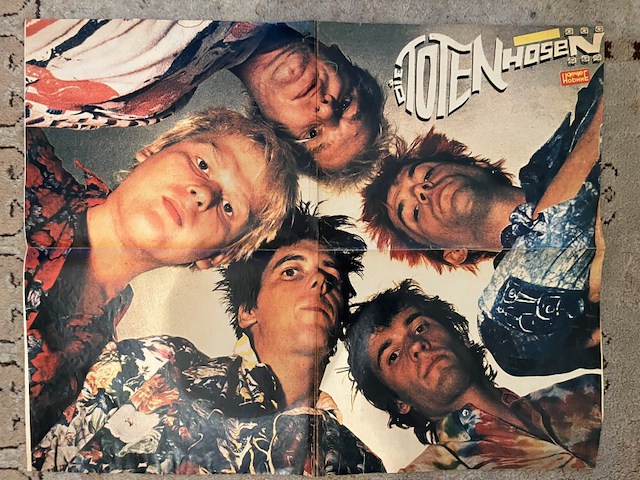 Poster - Die Toten Hosen