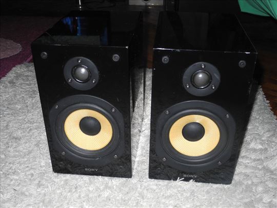 Sony SS-CG1 Hi Fi Speakers Piano Black Zvucnici