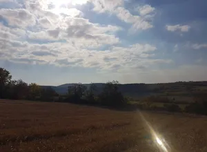Prodaja Građevinsko zemljište - Beočin
