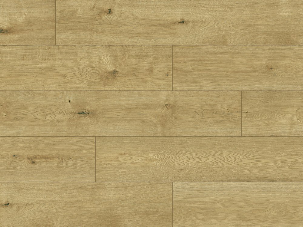 SPC Ceramin Pro Nature Nore