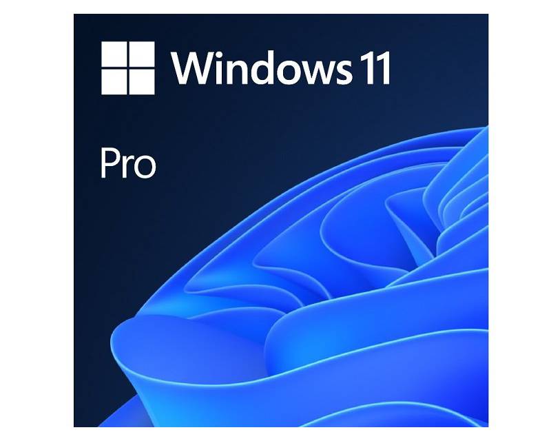 MICROSOFT - Windows 11 Pro GGK Eng Intl (4YR-00316)