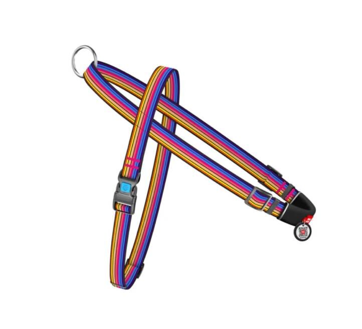 CLR WD POJAS SA RUČKOM ZA PSE SA QR PASOŠEM LINE 1 20MM/40-55 CM A2202361