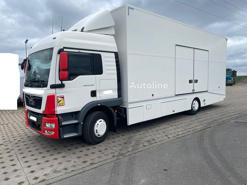 MAN 15.290 Moetefindt autotransporter