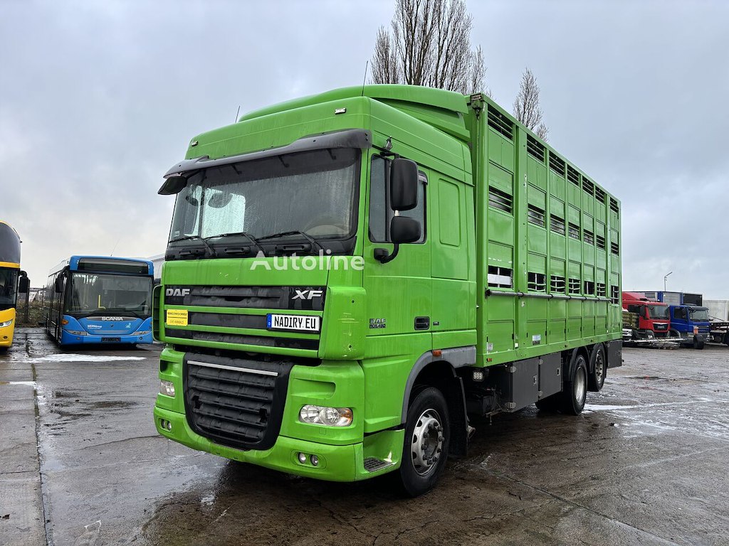 DAF XF105-460 kamion za prevoz stoke