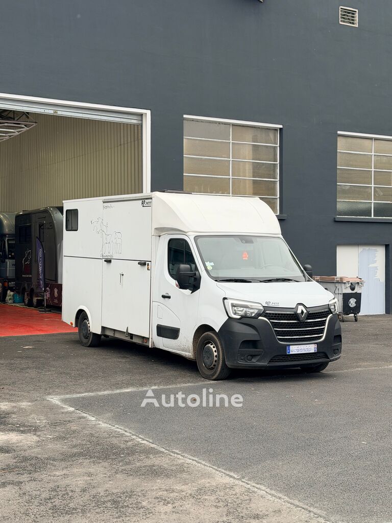 Renault Master vozilo za prevoz konja
