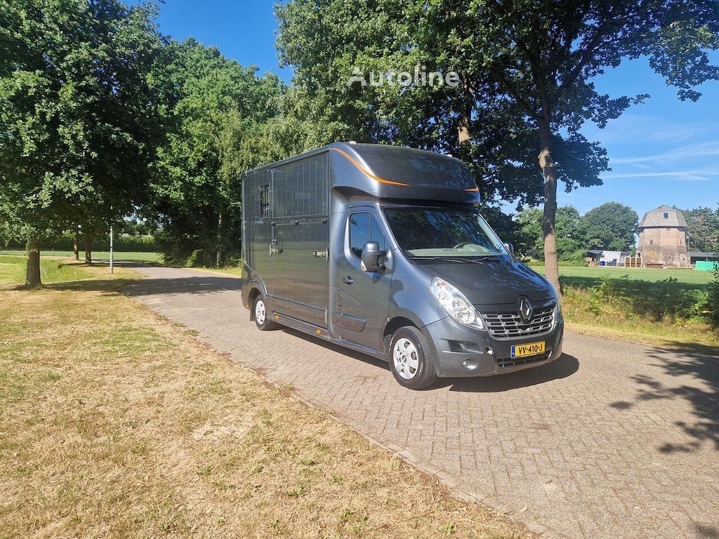 Renault Master vozilo za prevoz konja