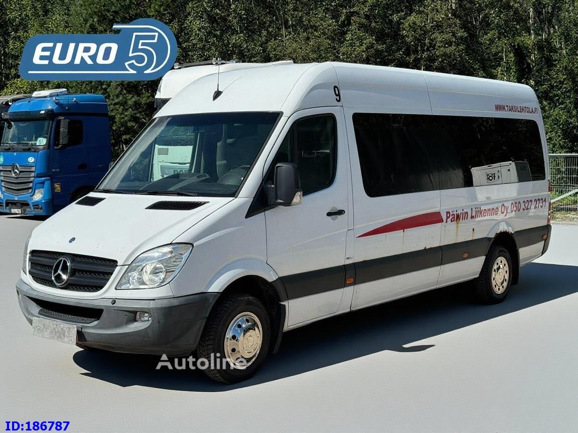 Mercedes-Benz Sprinter 516 putnički minibus