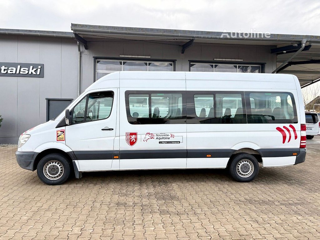 Mercedes-Benz Sprinter 313 CDI putnički minibus