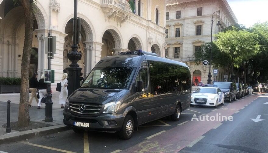 Mercedes-Benz sprinter 519 putnički minibus