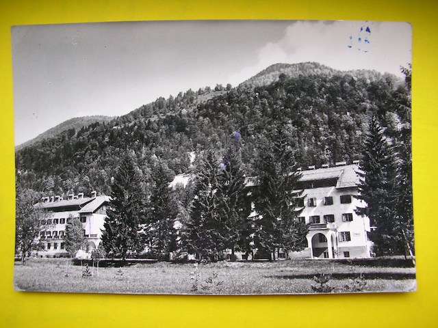Gozd Martuljek