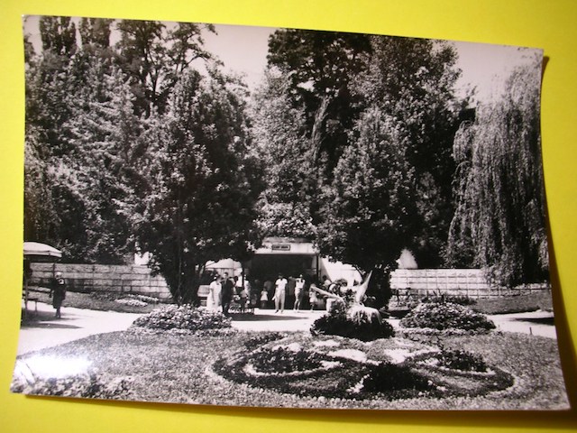 Aranđelovac-izvor đulara