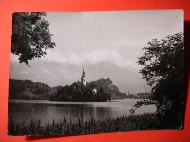 Bled