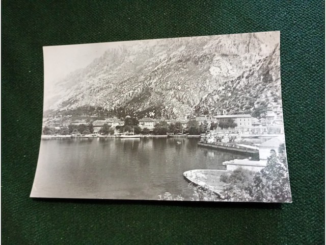 Kotor