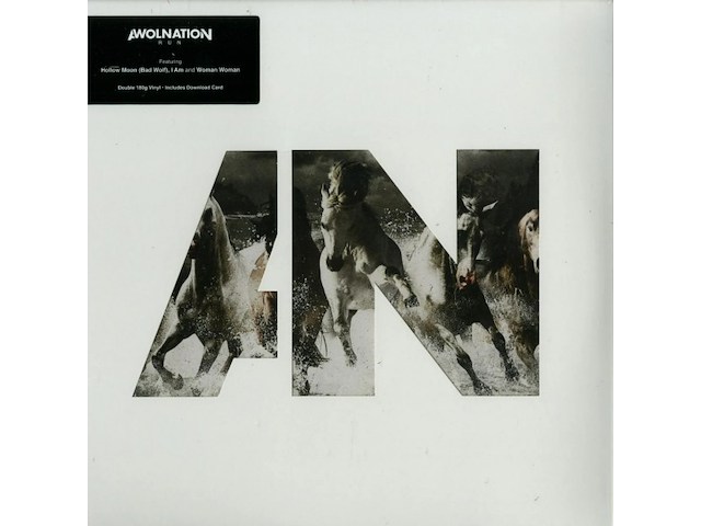 Awolnation Run