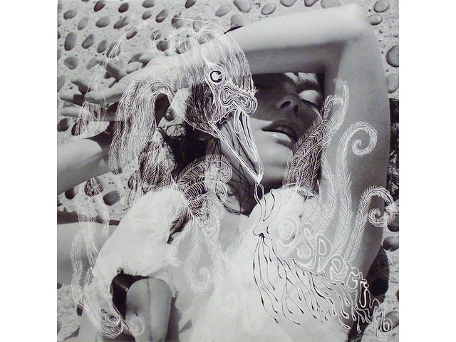 Bjork - Vespertine