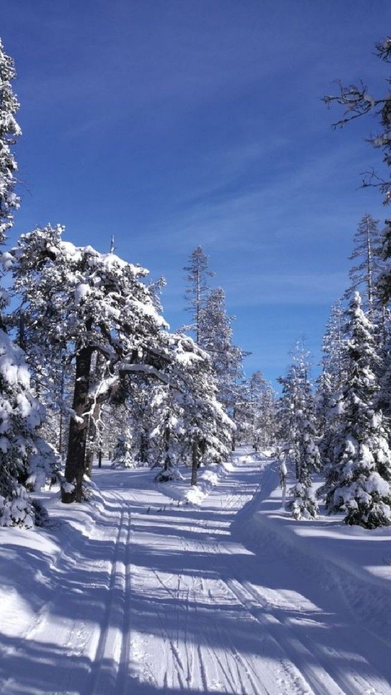 SVAKI OGLAS SAM POSVETIO TEBI NAJBOLJOJ
