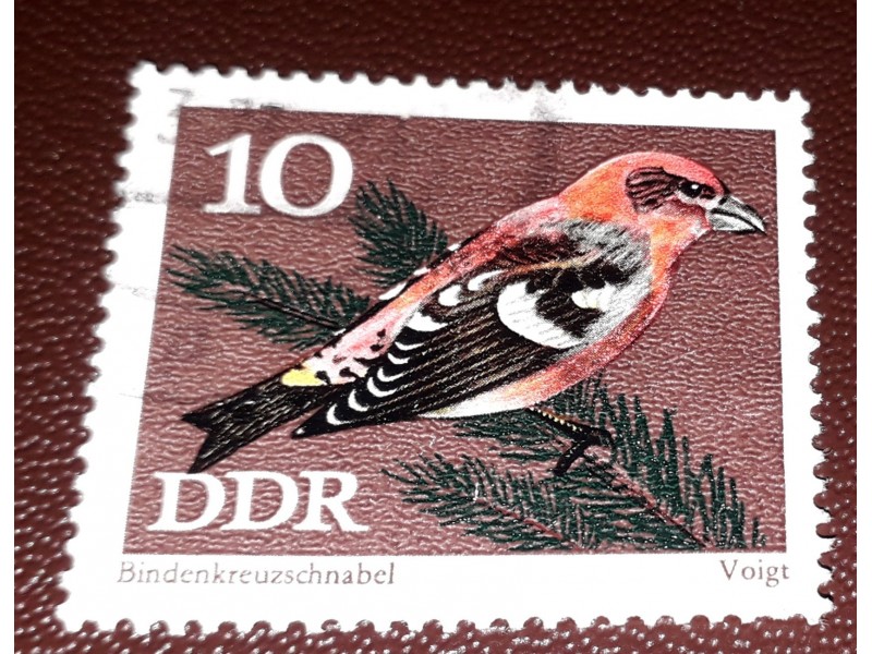 DDR 1973
