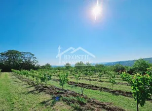 Prodaja Građevinsko zemljište - Beograd, Grocka Centar