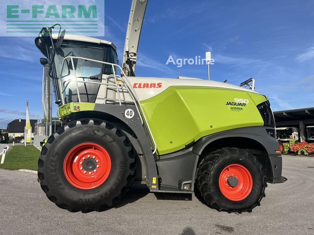 Claas jaguar 950 - (gebrauchter jaguar 900) krmni kombajn