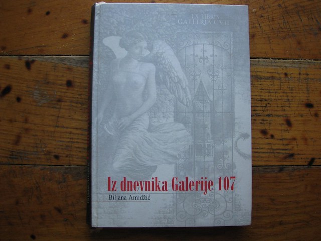 BILJANA AMIDŽIĆ - IZ DNEVNIKA GALERIJE 107