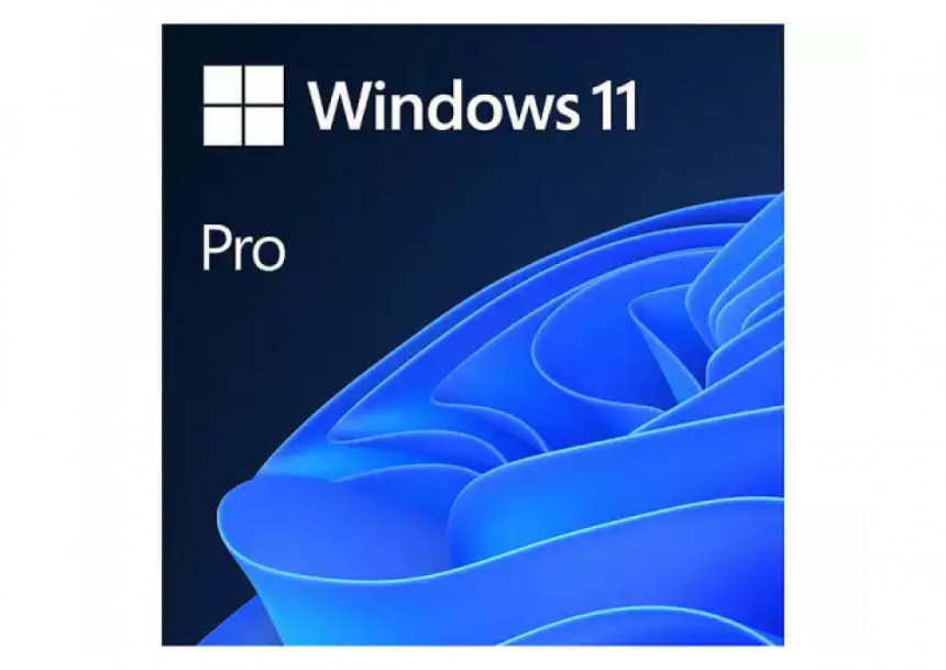 Microsoft Windows 11 Pro FPP 64-bit Eng Intl non-EU/EFTA USB HAV-00164