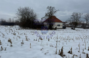 Građevinsko Zemljište, Temerin!