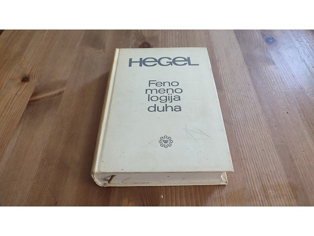 Georg Vihlelm Fridrih Hegel, Fenomenologija duha