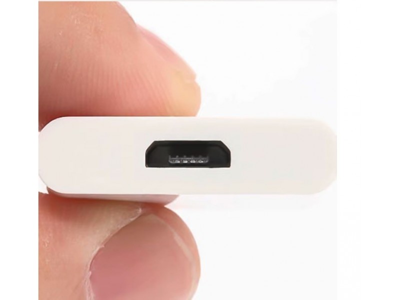 micro usb na 30 pin apple