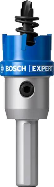 Bosch Kruna za lim sa osovinom Expert 2608901976, 20mm
