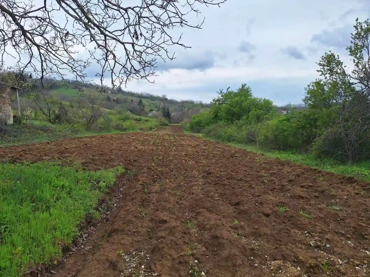 Novi Ledinci, Ledinci