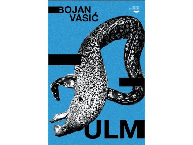 Bojan Vasić, Ulm