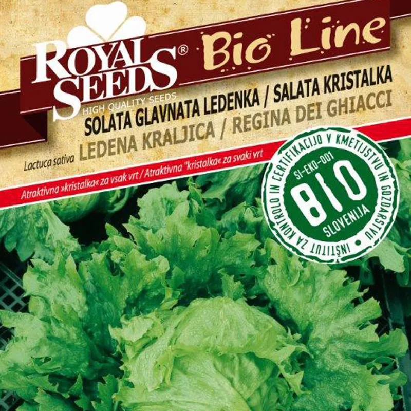 Salata Ledena kraljica