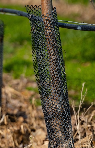 Mreža zaštitna za voće - stabla 55cm - 200kom.