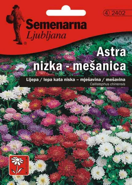 Seme Lepa Kata - Šimirezla - mešavina - Callistephus chinensis 2402