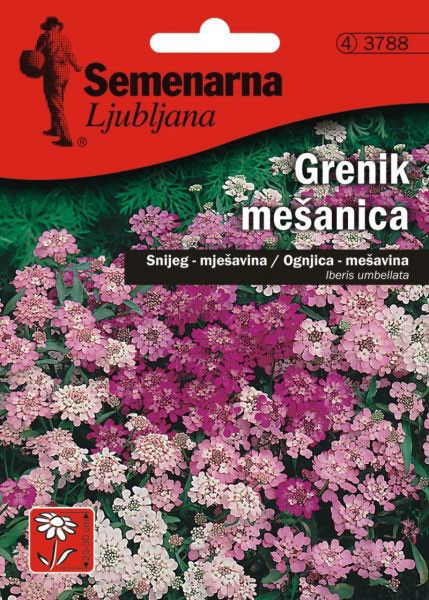 Seme za cveće Ognjica mešavina - Iberis umbellata 3788