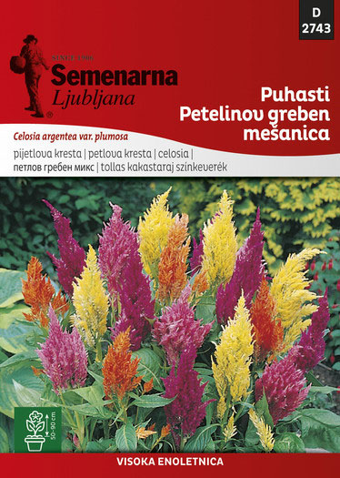 Cveće Petlova kresta paperjasta - mešavina - seme Celosia argentea var. plumosa 2743